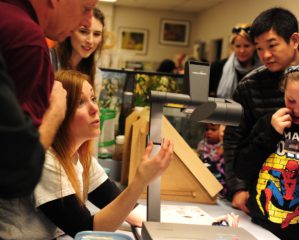 Best Insect Museums: Global Collection Highlights