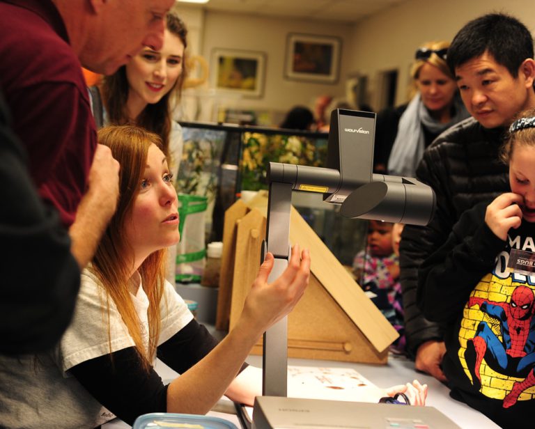 Best Insect Museums: Global Collection Highlights