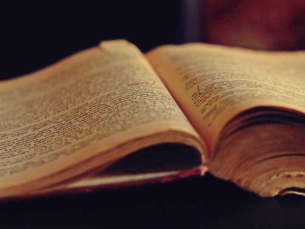 The Ultimate Guide to Booklice