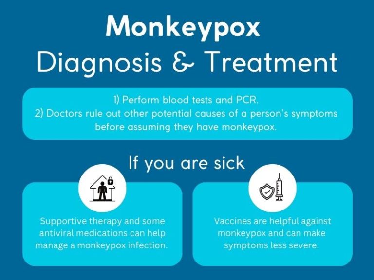 The Ultimate Guide to Monkeypox in Singapore