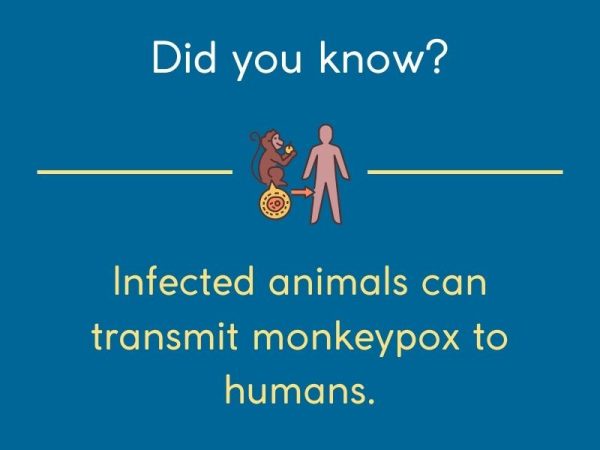 The Ultimate Guide to Monkeypox in Singapore