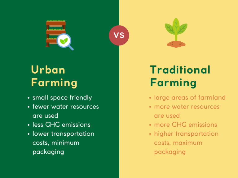 The Ultimate Guide to Urban Farming - Killem Pest