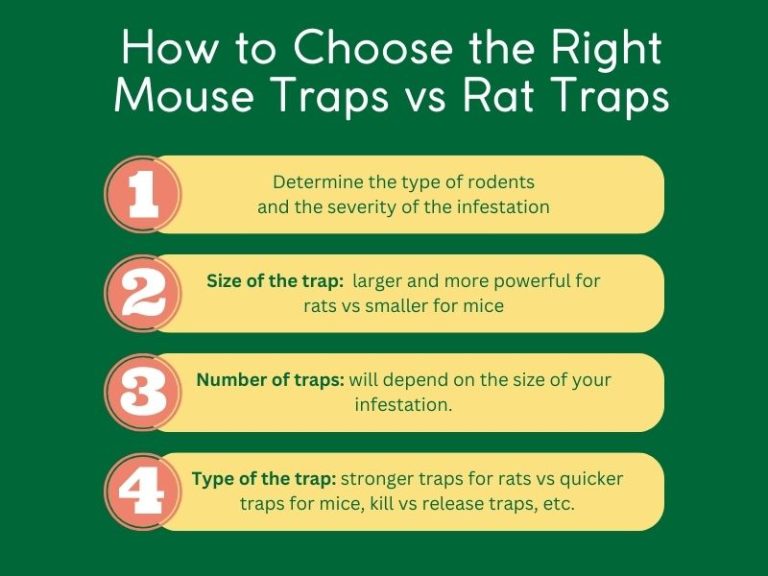 The Complete Guide to Mouse and Rat Traps: How Do They Work?