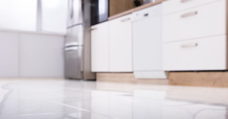 Cockroach Droppings Guide Singapore | Killem Pest